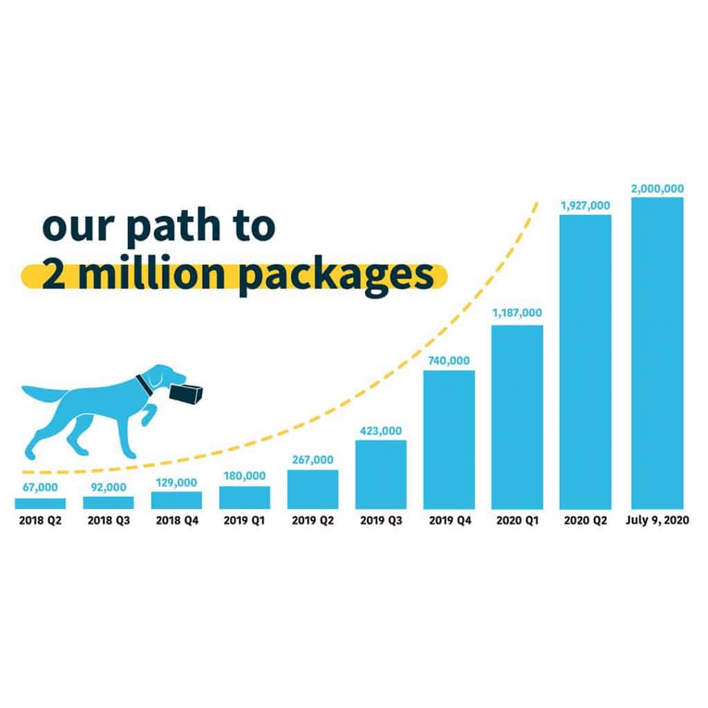 A Record Year of Growth for Fetch in 2020 - Fetch Package