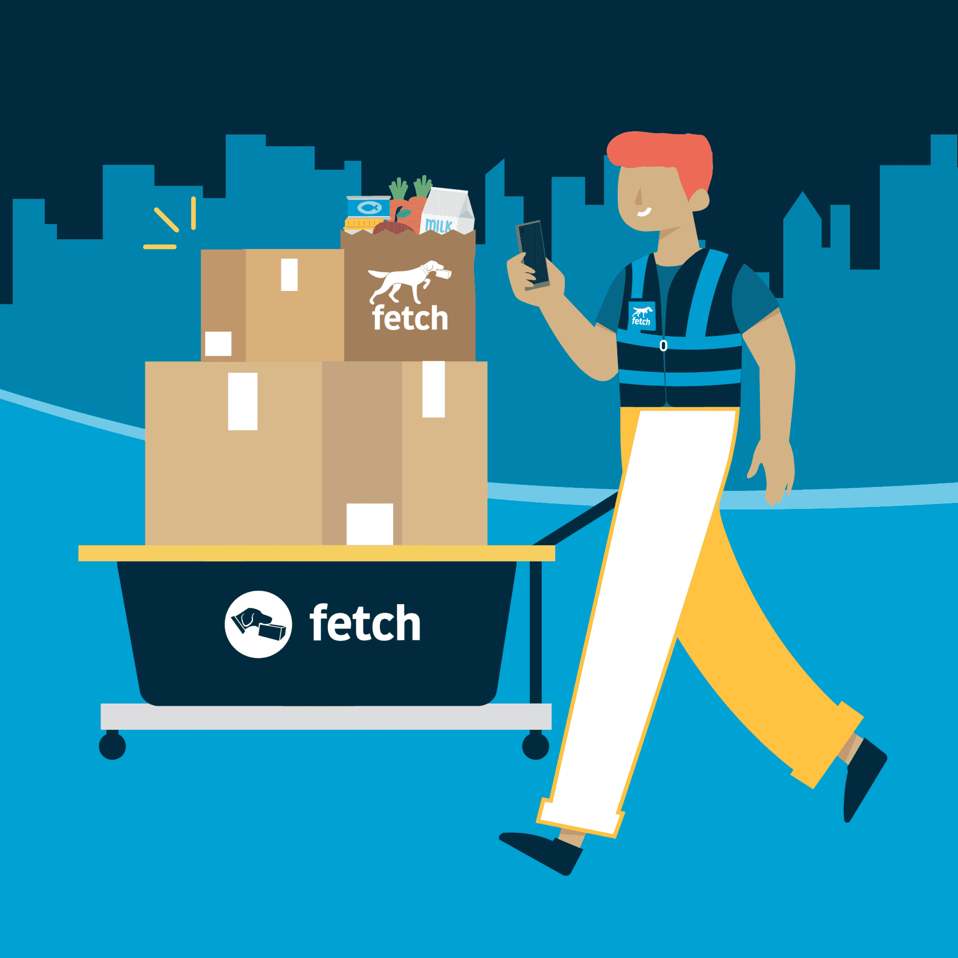 Fetch's Strategic Expansion: Fueling Growth with Innovation and Financial Strength - Fetch Package